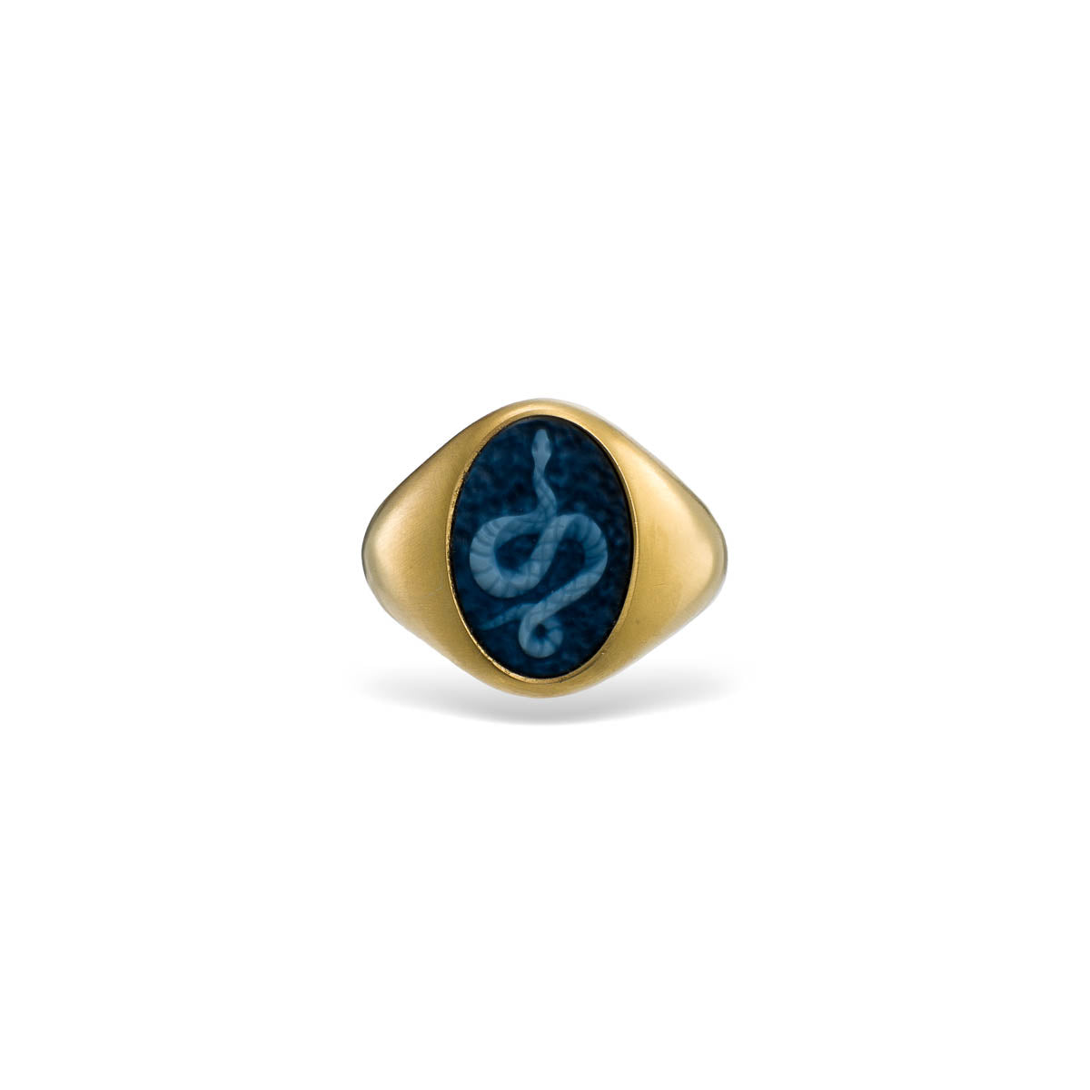 THE VENOM RING – Mike Glass
